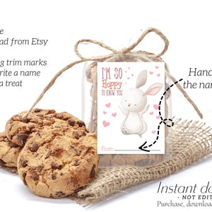 Printable Bunny Valentine Tags, Bunny Valentine Cards for Kids ...