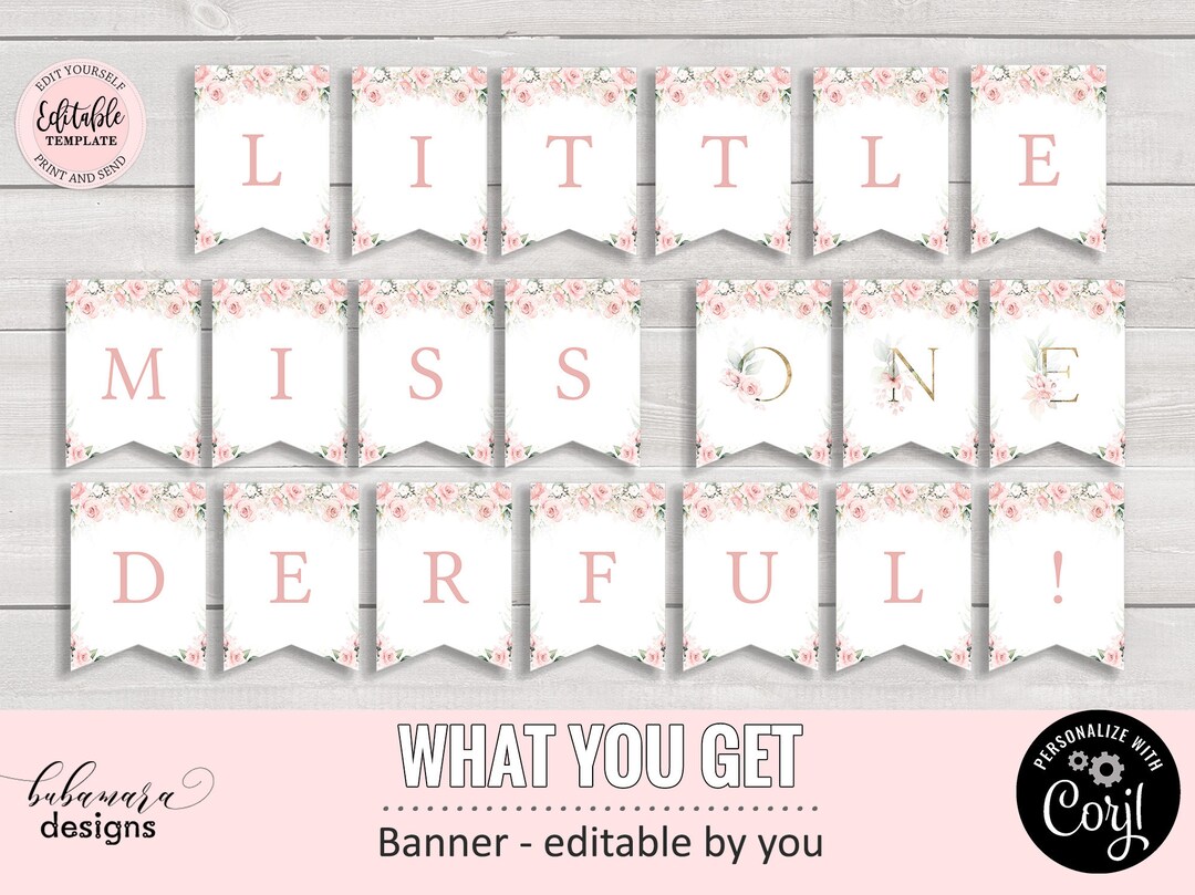 Editable Little Miss Onederful Banner, 1st Birthday Banner, Blush Pink ...