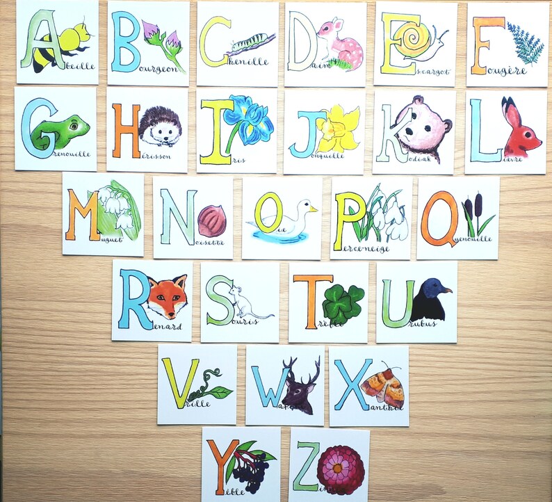 Alphabet, cartes, abécédaire, jeu éducatif, nature, animaux, plantes ...