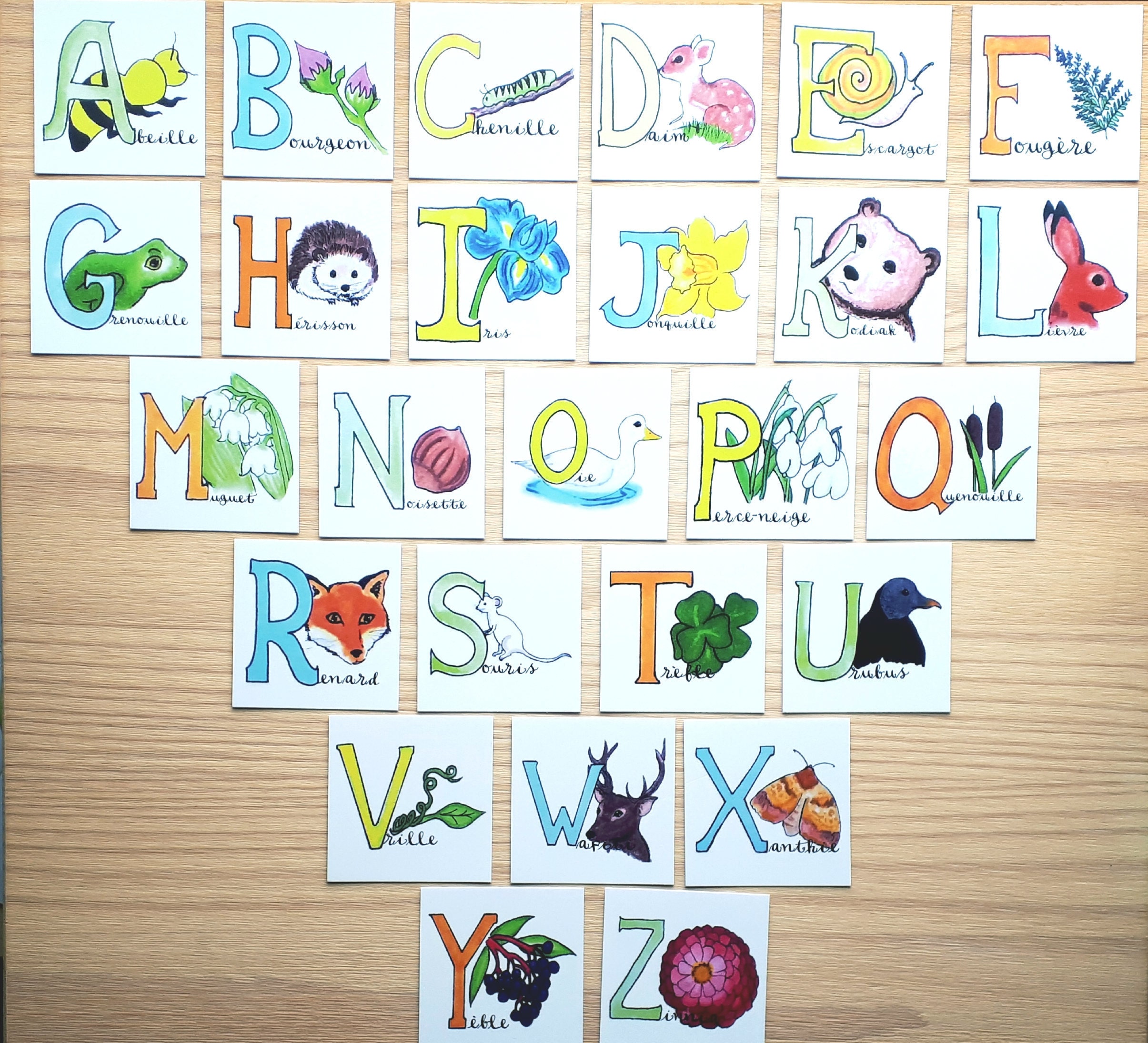 Alphabet, cartes, abécédaire, jeu éducatif, nature, animaux, plantes ...