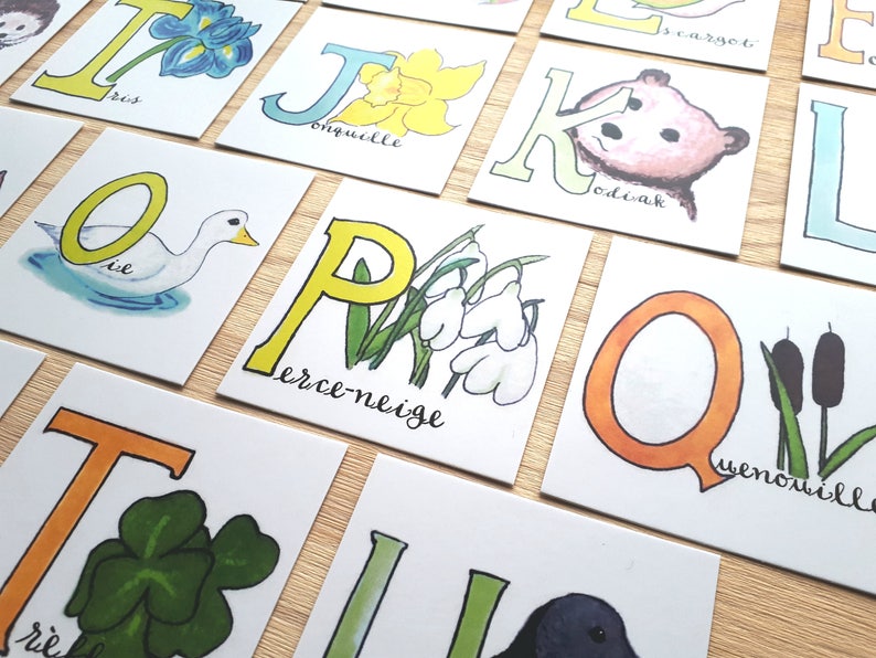 Alphabet cartes abécédaire jeu éducatif nature animaux - Etsy Canada