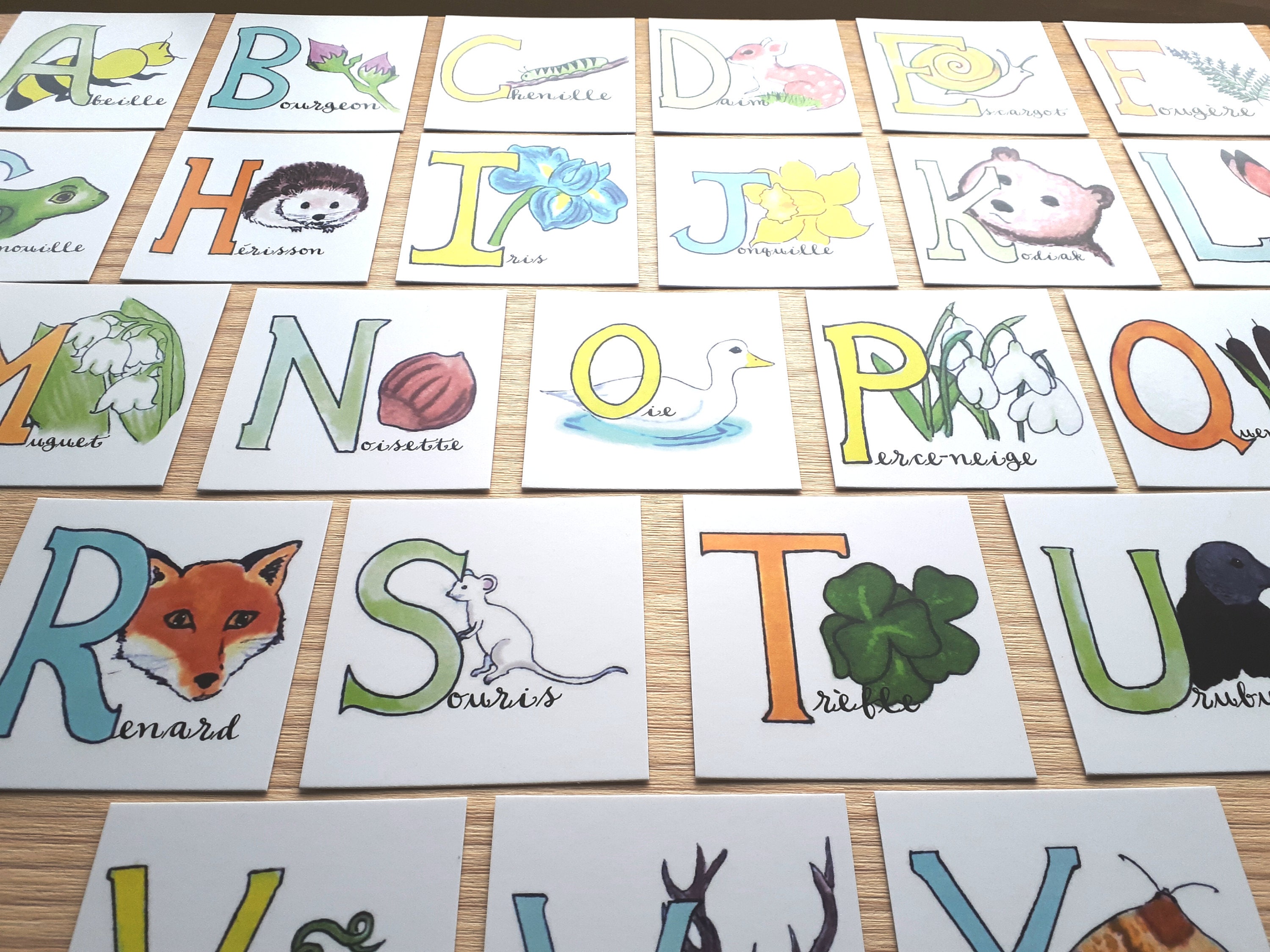 Alphabet cartes abécédaire jeu éducatif nature animaux - Etsy Canada