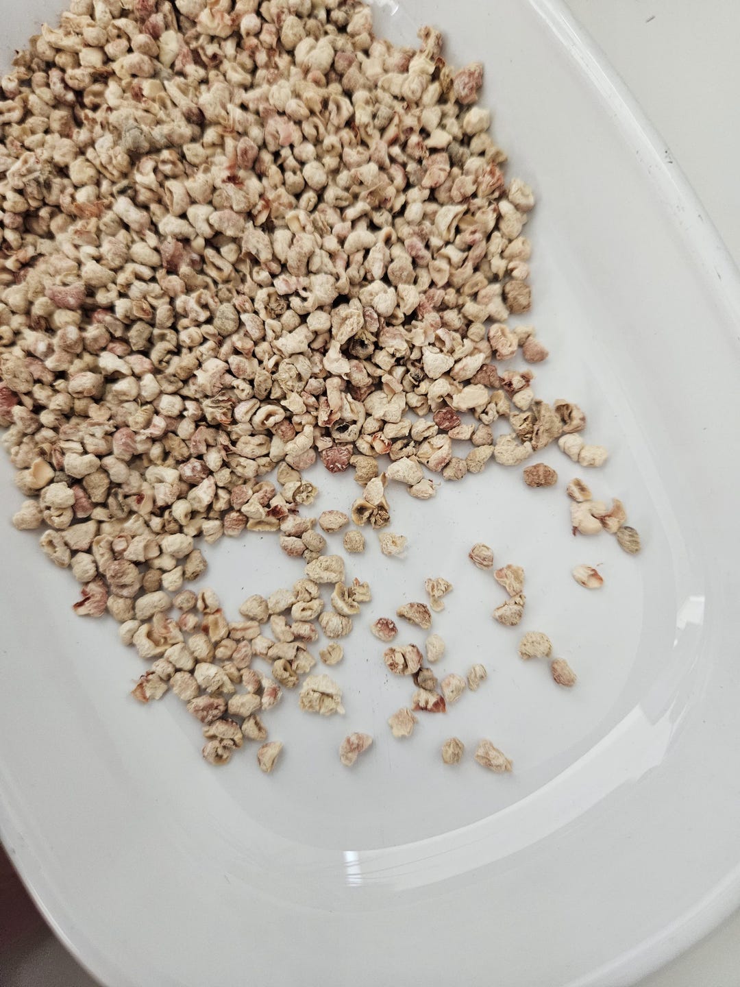 1 CUP Fake Nuts, Faux Chopped Peanuts, Fake Food Baking Supplies, Slime ...