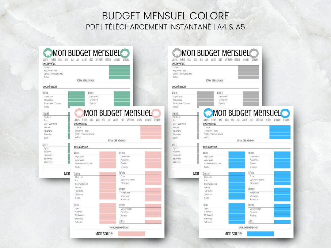 Printable: Colorful Monthly Budget Pack Budget A4 & A5 - Etsy