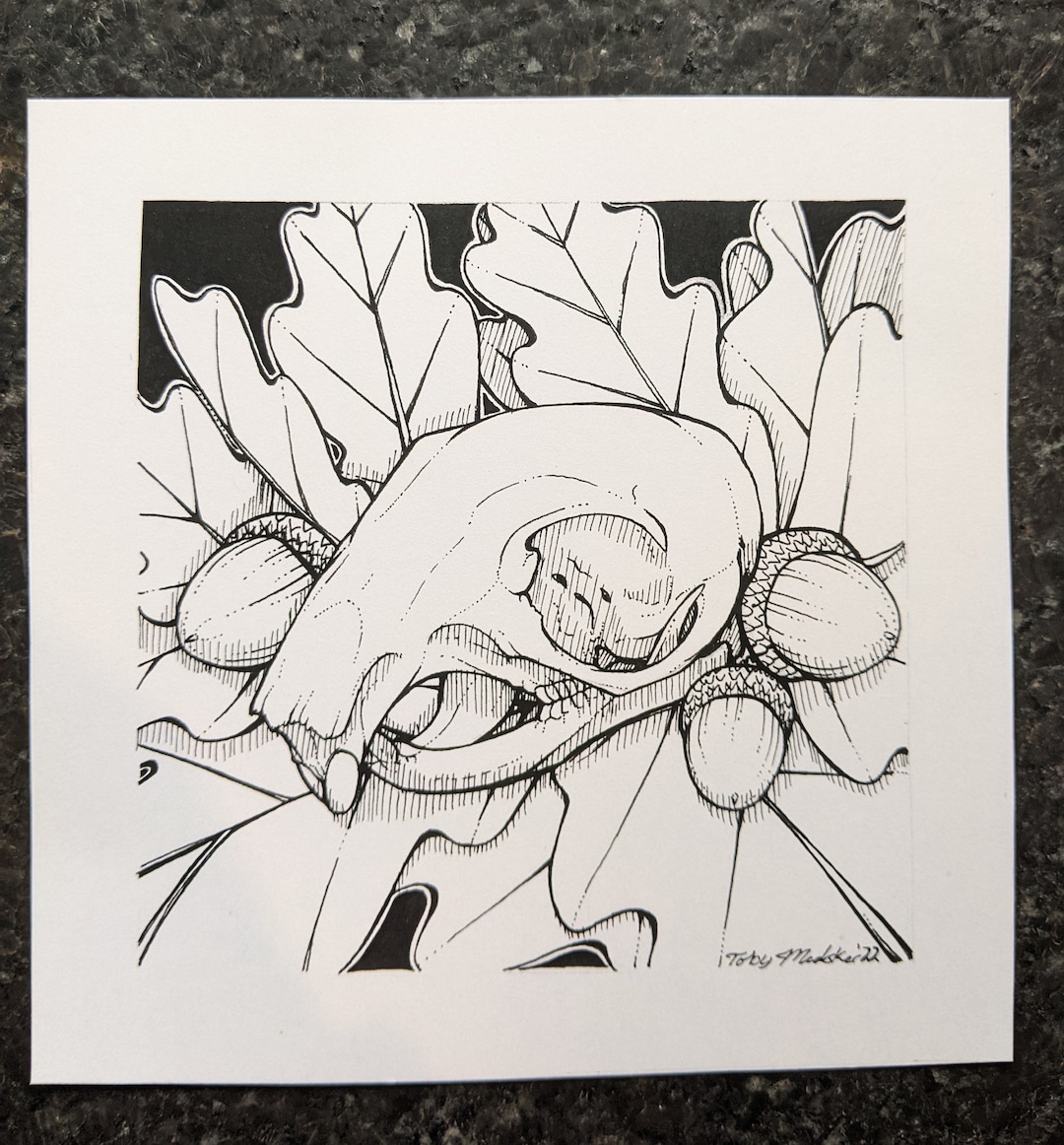 Squirrel Skull Print - Etsy