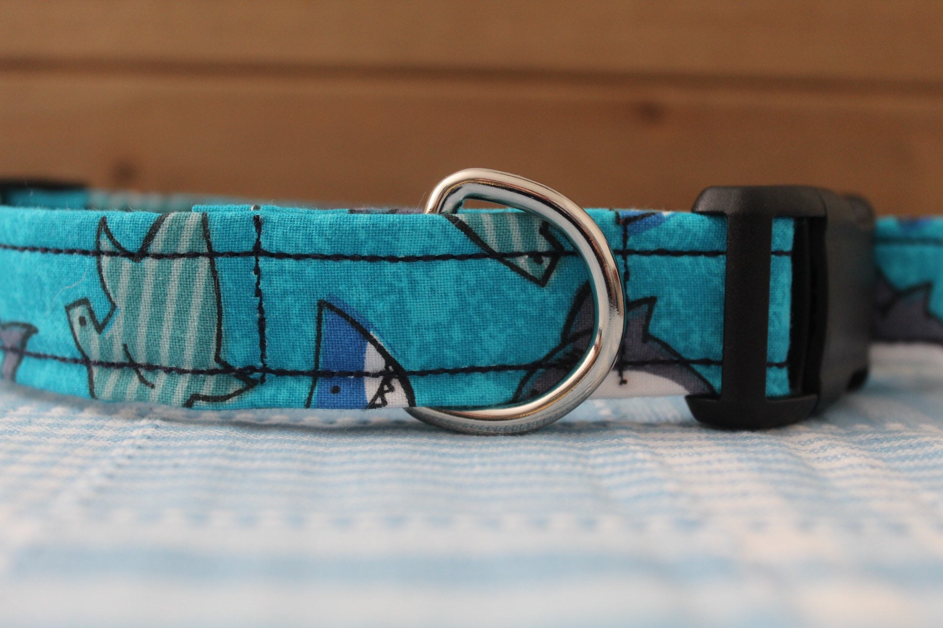 Shark Attack Collar Shark Dog Collar Ocean Dog Collar Dog - Etsy