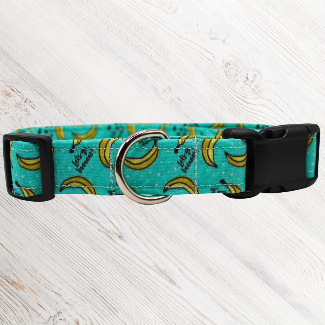 Let's Go Bananas Dog Collar, Banana Collar, Fruit Collar, Teal Collar ...