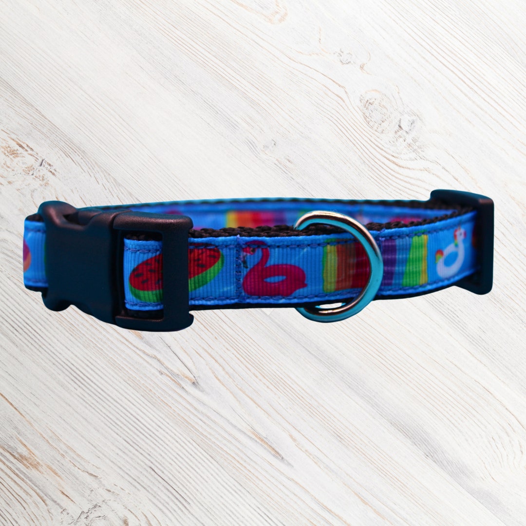 Pool Party Collar, Summer Collar, Pool Dog, Dog Collar, Blue Collar ...