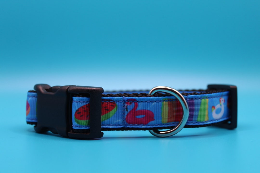 Pool Party Collar Summer Collar Pool Dog Dog Collar Blue - Etsy