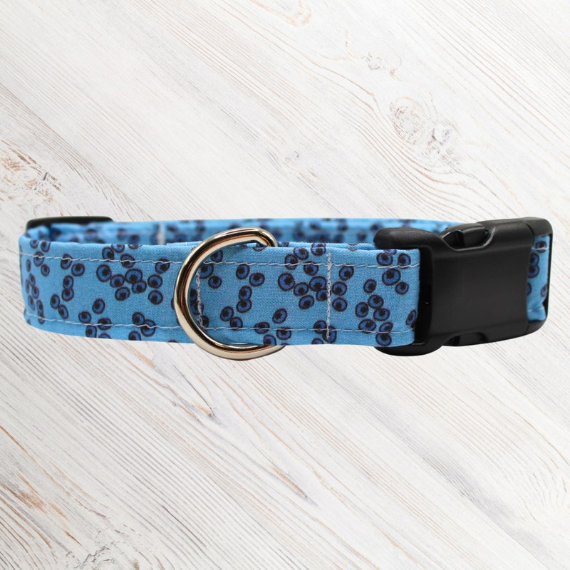 Colorful Dog Collar - Etsy
