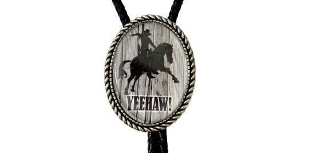 Western Cowboy Bolo Tie Personalized Cord Color ,length , and Tips /C7 ...