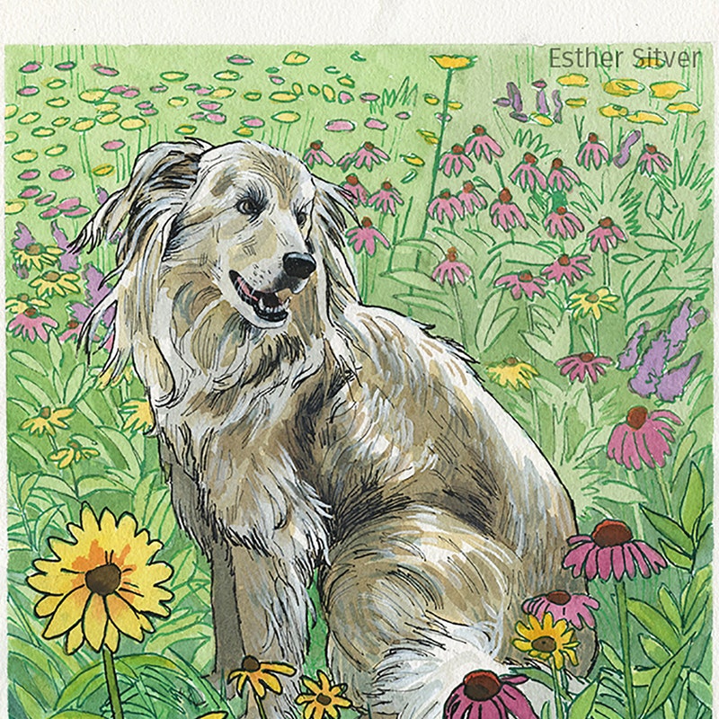 Custom Pet Drawing - Etsy