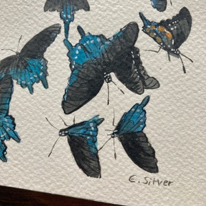Swallowtails Original Art Watercolor and Ink Plein Air Botanical ...