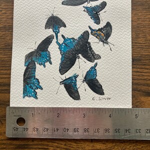 Swallowtails Original Art Watercolor and Ink Plein Air Botanical ...