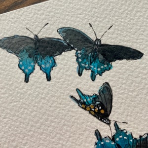 Swallowtails Original Art Watercolor and Ink Plein Air Botanical ...