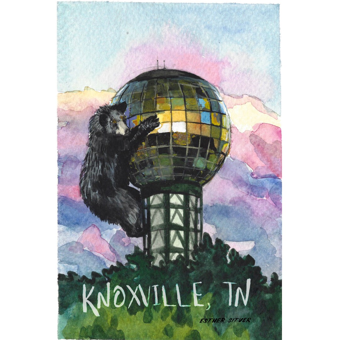 Knox Bear Postcard 4x6 - Sunsphere Souvenir - Knoxville, Tennessee ...