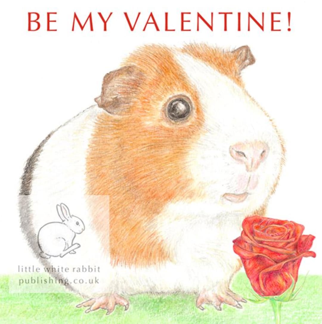 Gilbert the Guinea Pig - Valentine Card - Etsy