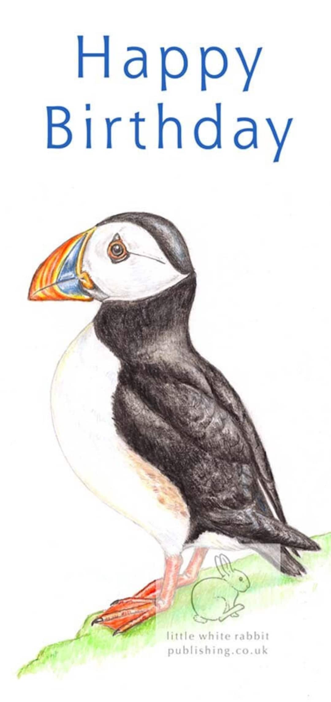 Puffin Birthday Card - Etsy