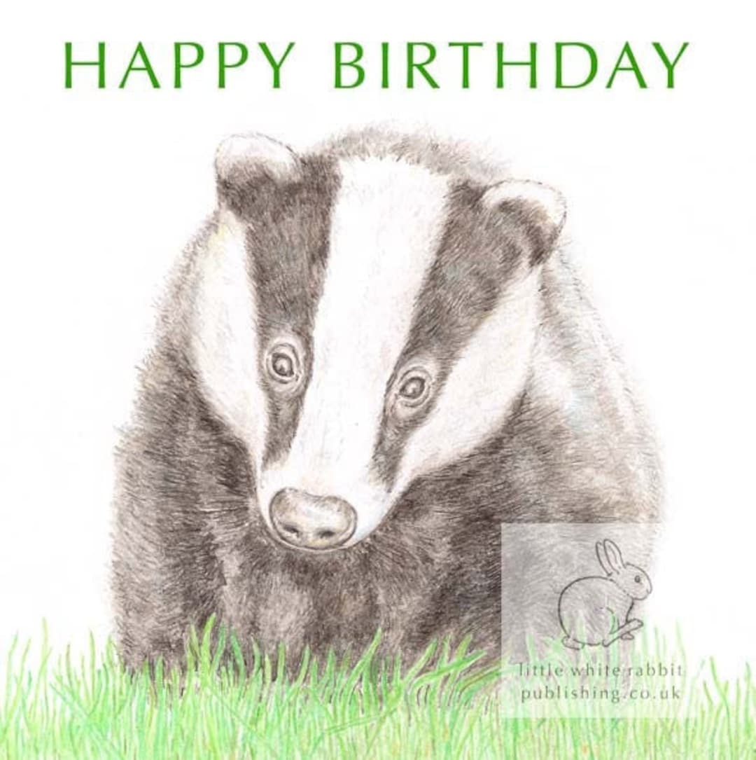Badger - Birthday Card - Etsy