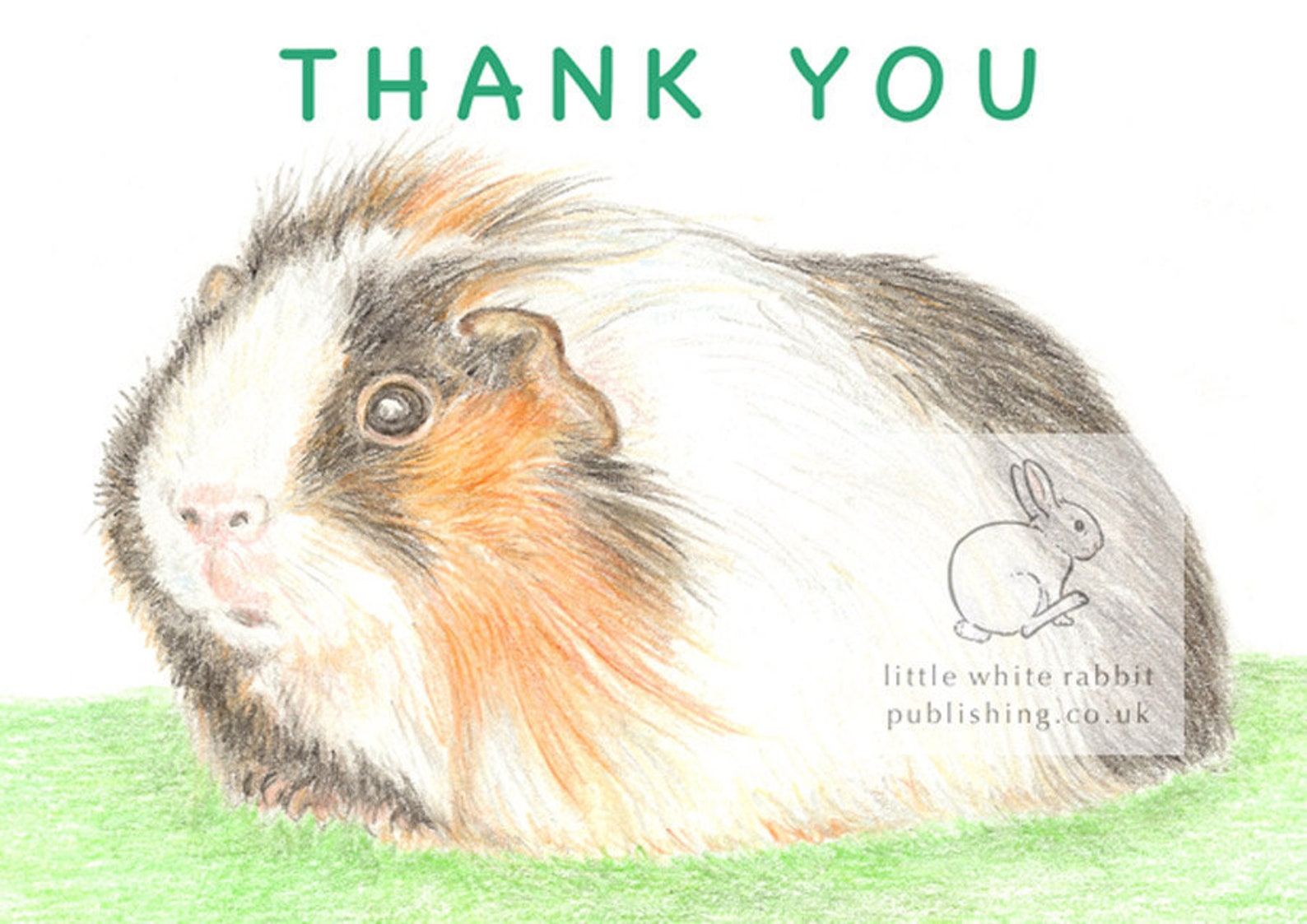Gus the Guinea Pig - Thank You Card - Etsy