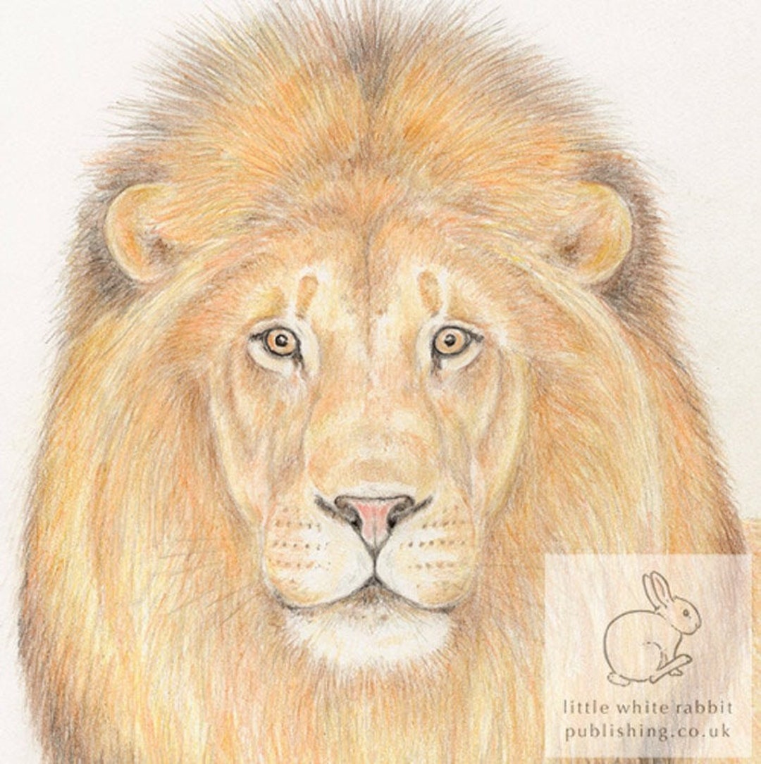 Lion Blank Card - Etsy