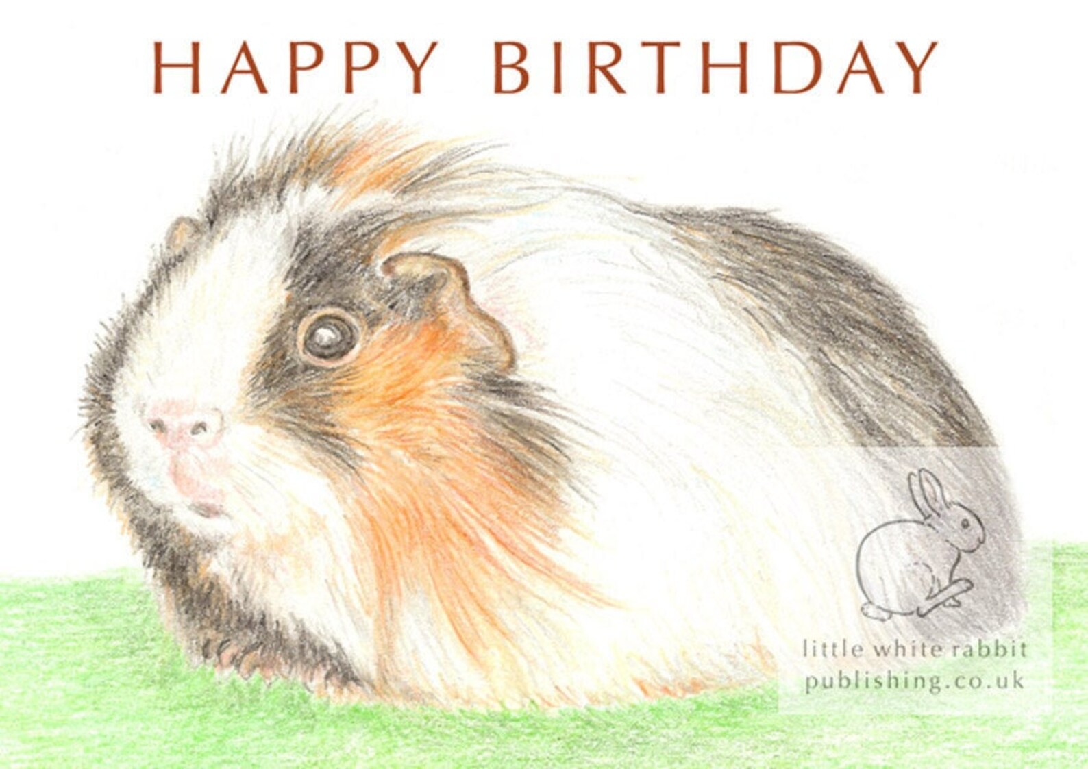 Gus the Guinea Pig - Birthday Card - Etsy