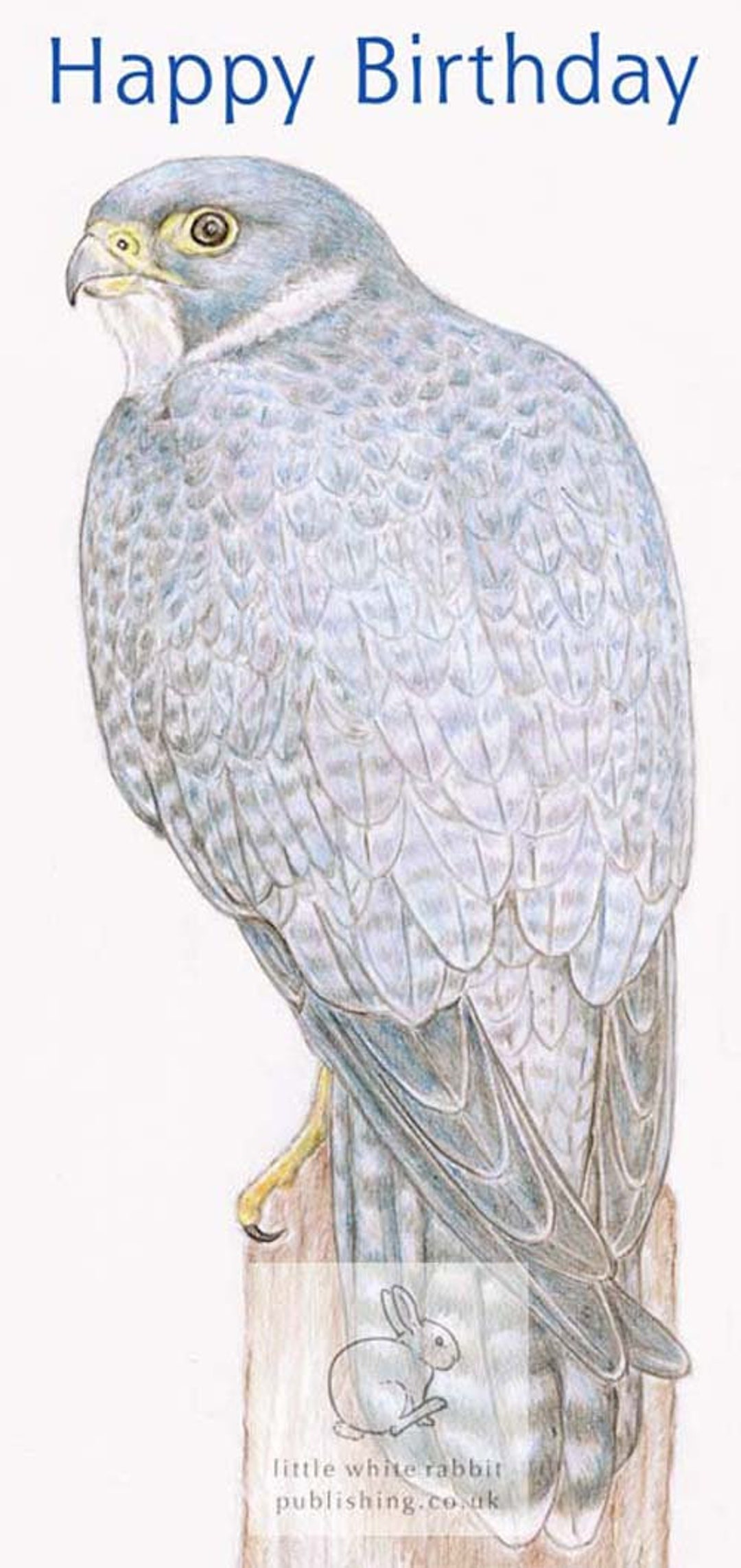 Peregrine Falcon - Birthday Card - Etsy