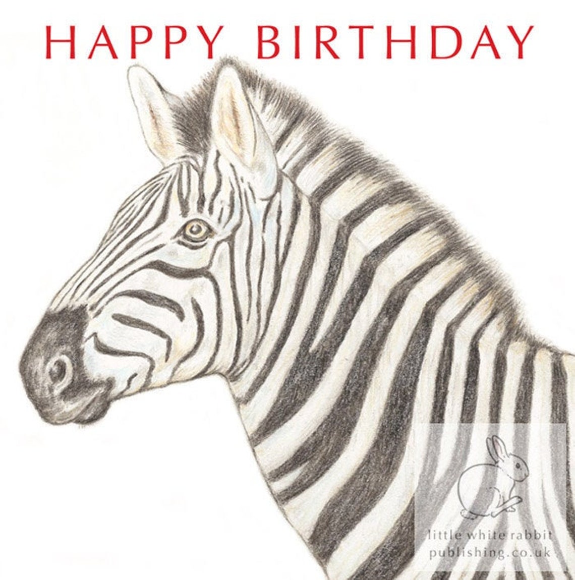 Zebra - Birthday Card - Etsy