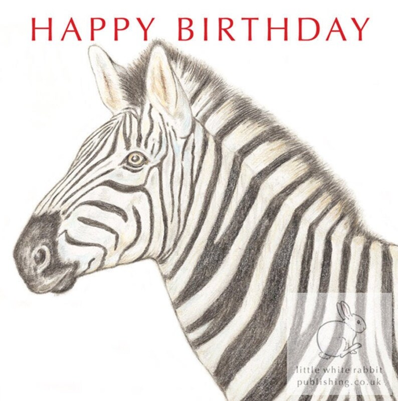 Zebra - Birthday Card - Etsy