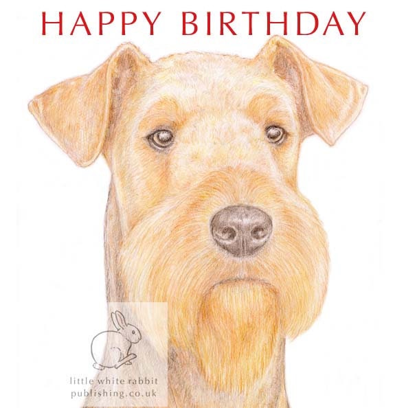 Angus - Birthday Card - Etsy