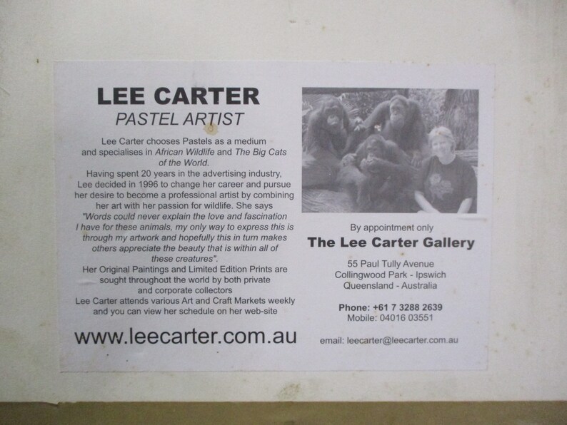 Original Pastel Artwork - Chimpanzee - Australian Artist Lee Carter ...