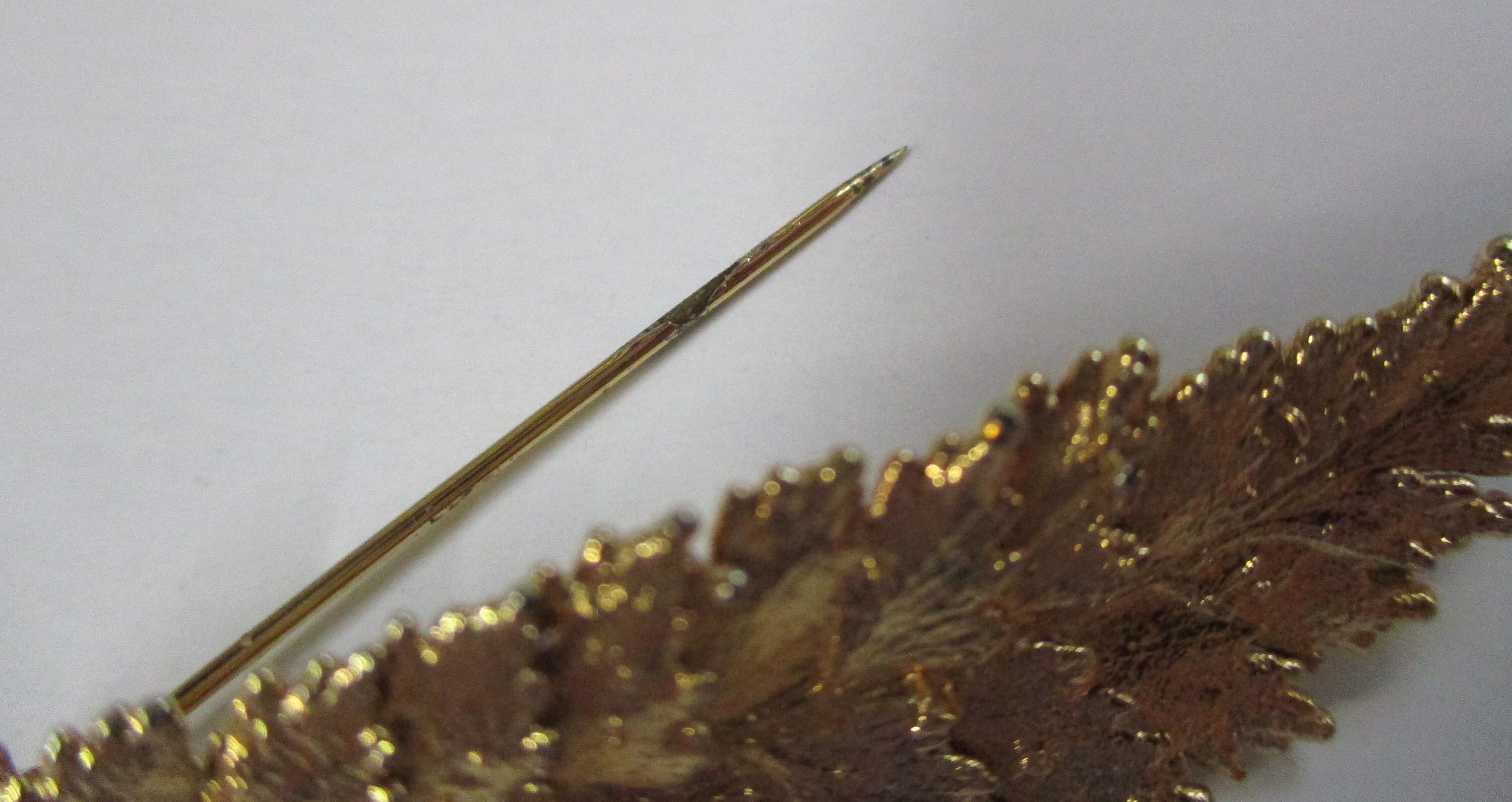 Mokai New Zealand Native Exotic Specimen Fern Brooch 5.5cm Long - Etsy