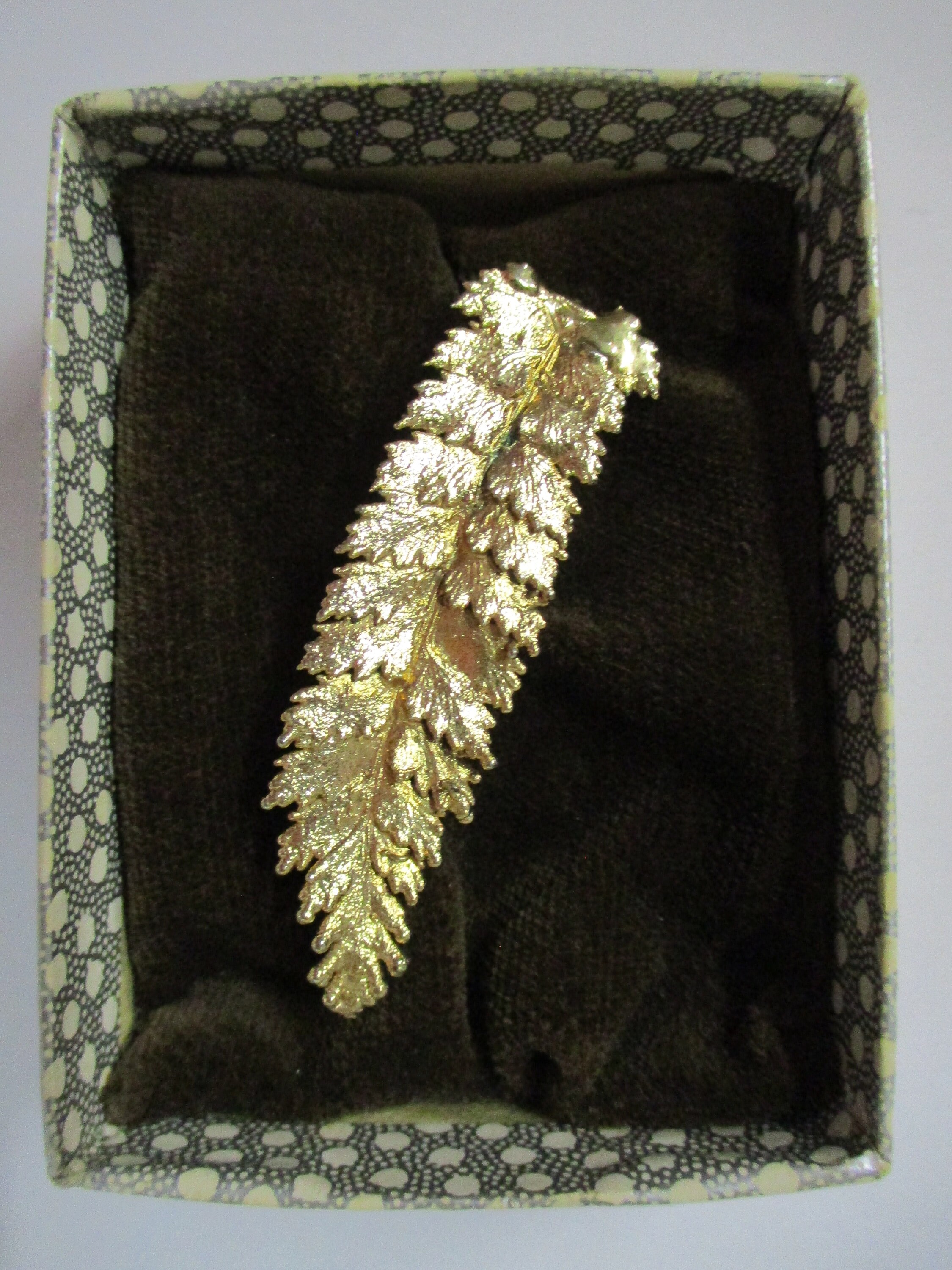 Mokai New Zealand Native Exotic Specimen Fern Brooch 5.5cm Long - Etsy