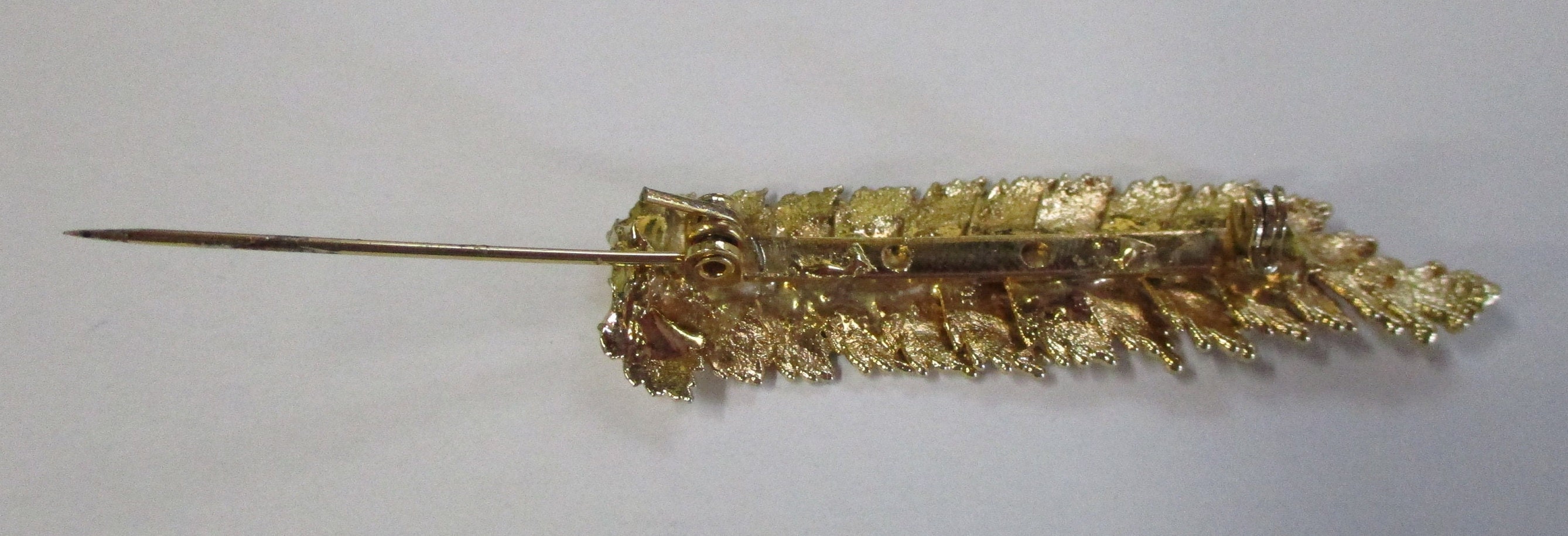 Mokai New Zealand Native Exotic Specimen Fern Brooch - 5.5cm Long - Etsy