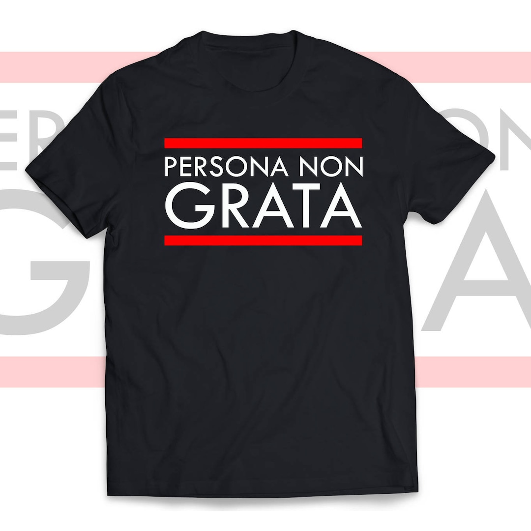 PERSONA NON GRATA T-shirt Cool Statement Shirt Cool Gift - Etsy