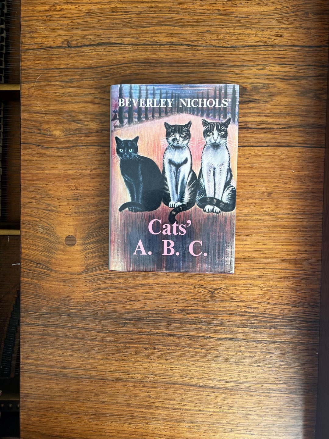 Beverley Nichols Cats A B C Illustrated - Etsy