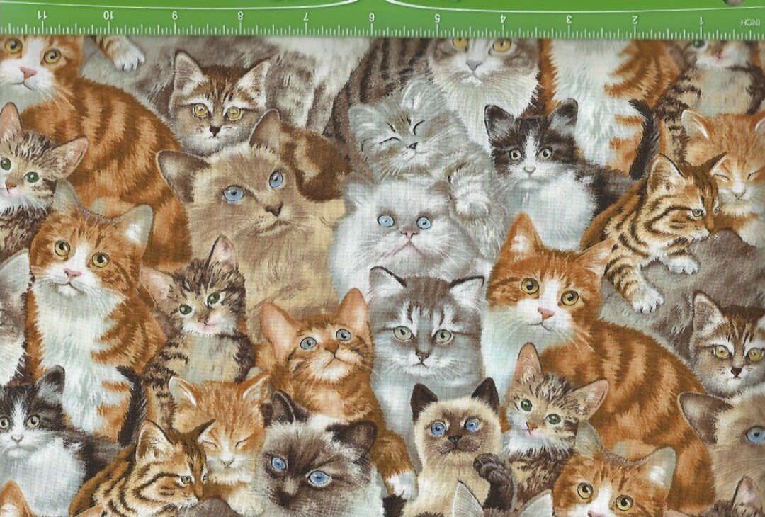 Petpourri, Cute,kittens,elizabeth Studio 45" Wide" 100% Cotton Listed ...