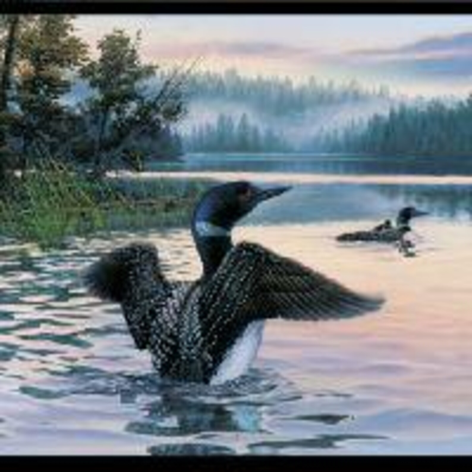 Anglers's Moon ,loons on the Lake Panel 36"x 44" 19005 Elizabeth Studio ...
