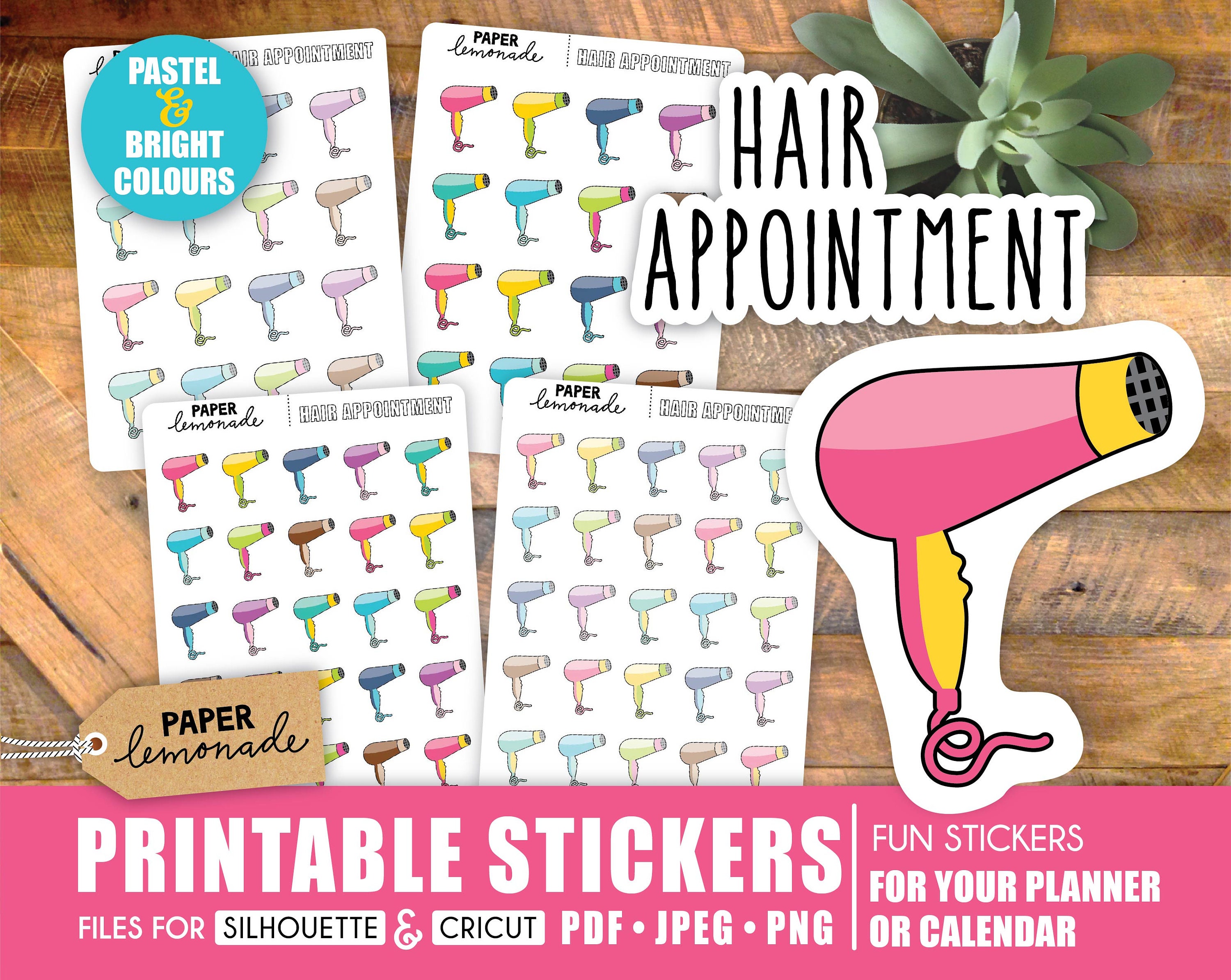 Printable hair appointment hair dryer planner sticker in | Etsy