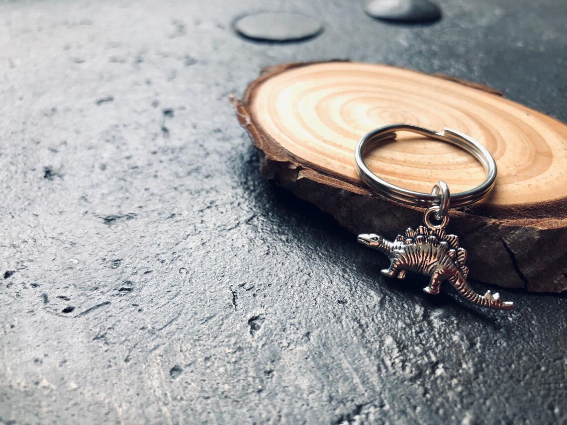 Stegosaurus Key-ring | Jurassic Dinosaur | Silver Palaeontology Key ...