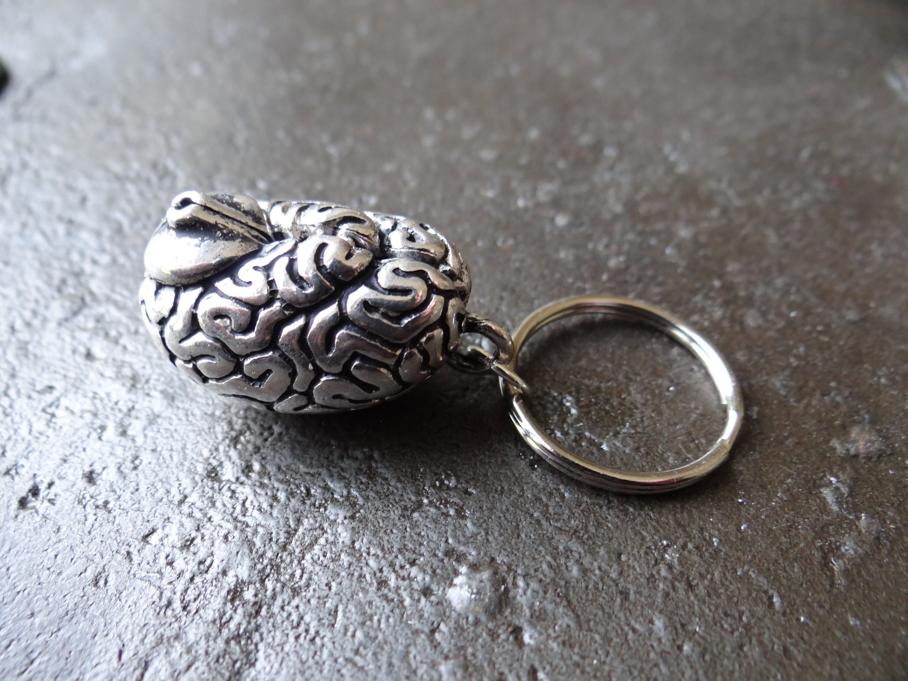3D Brain Keyring // Keychain // Neuroscience Key Ring // Biology ...