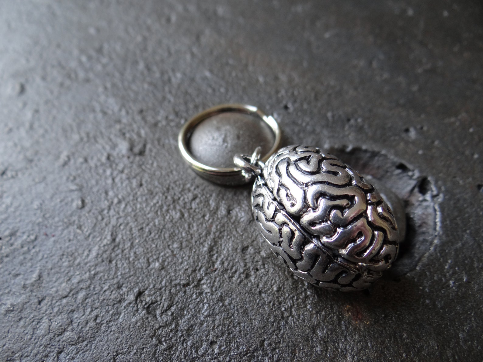 3D Brain Keyring // Keychain // Neuroscience Key Ring // | Etsy UK