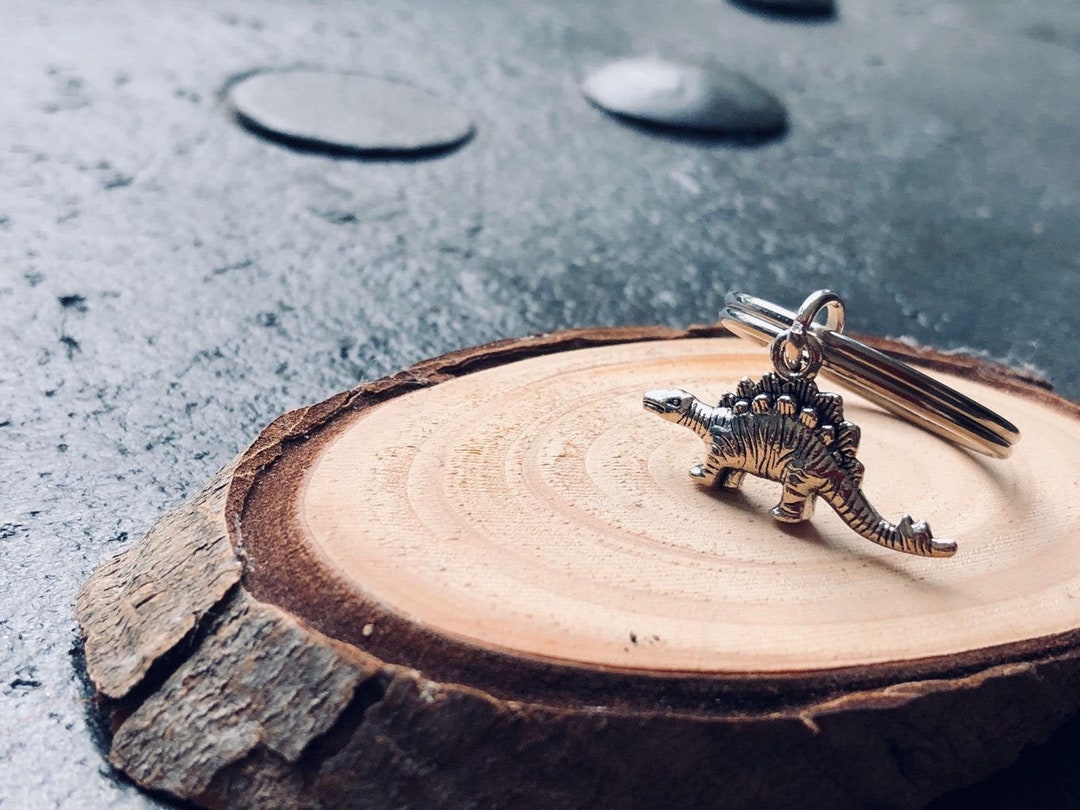 Stegosaurus Key-ring | Jurassic Dinosaur | Silver Palaeontology Key ...