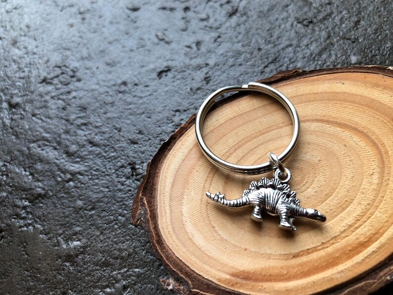 Stegosaurus Key-ring Jurassic Dinosaur Silver | Etsy
