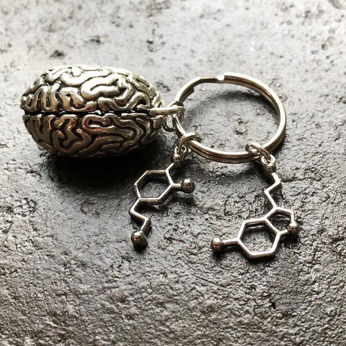 3D Brain Keyring // Keychain // Neuroscience Key Ring // | Etsy UK
