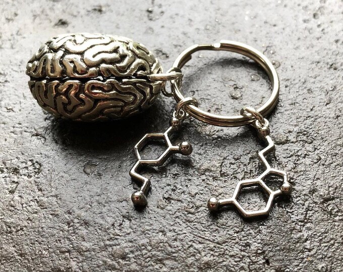 Human Brain KeyChain Anatomical Brain Keyring Neuroscience | Etsy