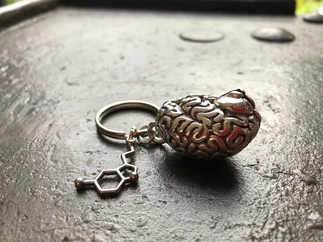 3D Brain Serotonin Neurotransmitter Key Ring // Neuroscience // Biology ...