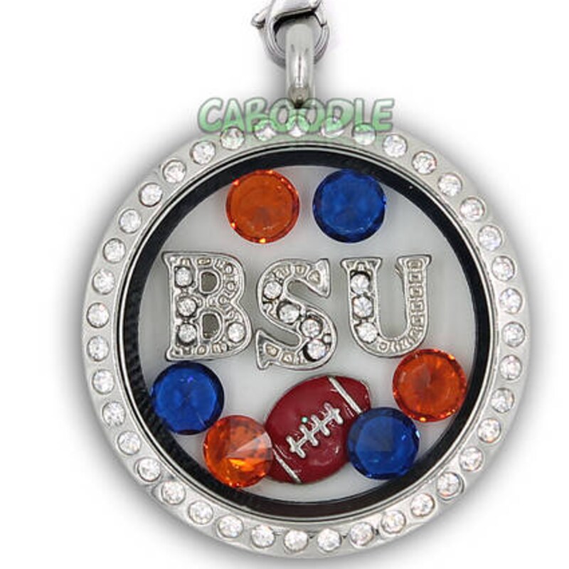 LocketScienceStore - Etsy