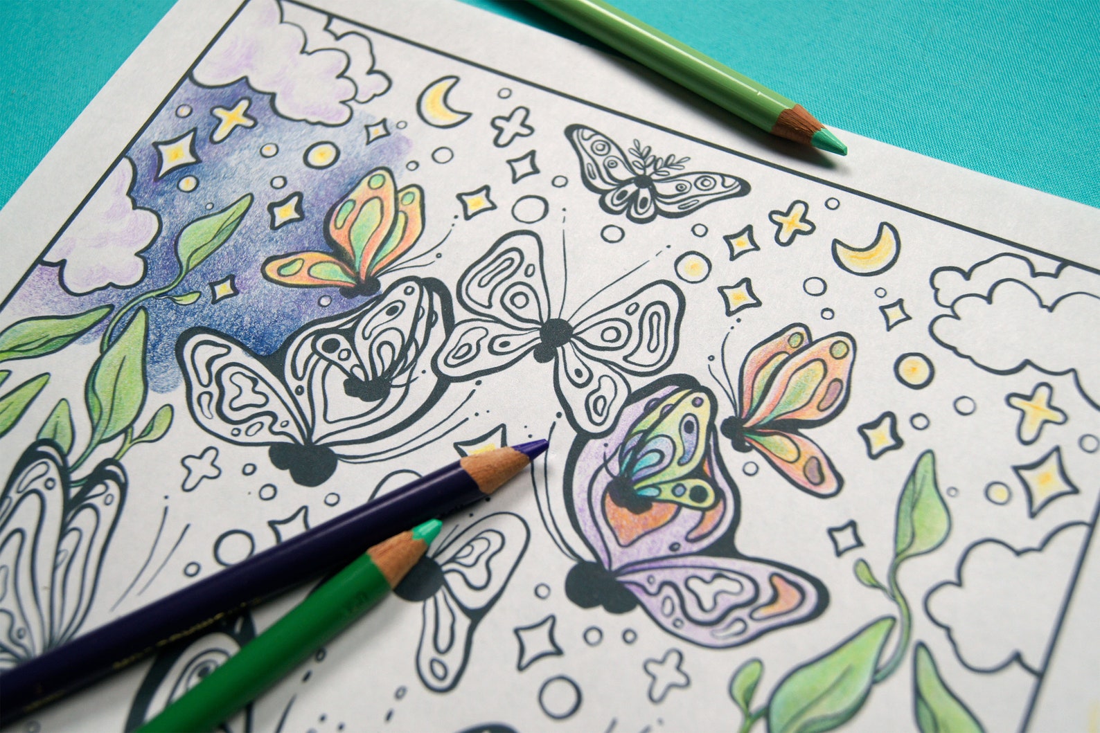 Printable Nature Coloring Pages for Charity | Set of 3 | All Proceeds ...