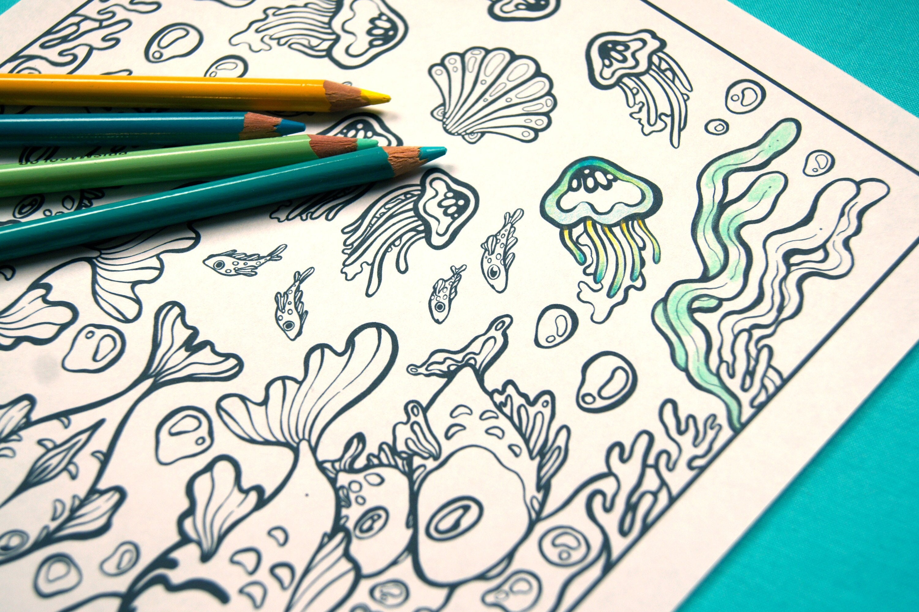Printable Nature Coloring Pages for Charity | Set of 3 | All Proceeds ...